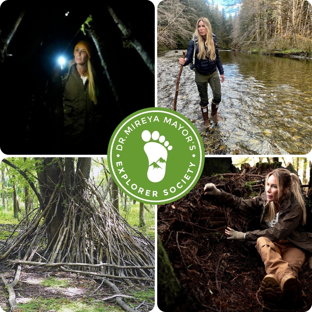 Home - Dr. Mireya Mayor