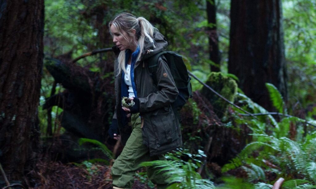 Home - Dr. Mireya Mayor