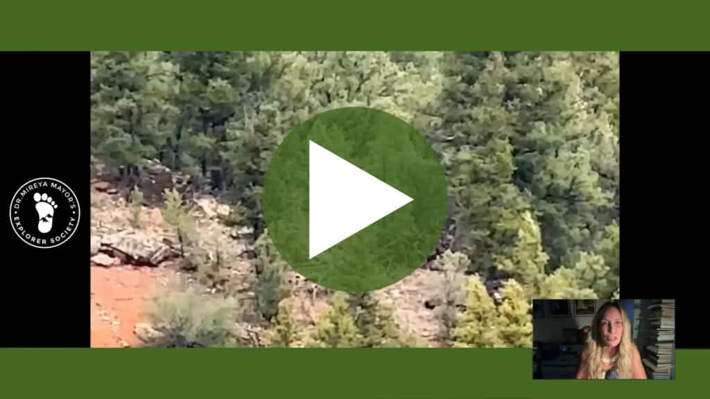 Inside Bigfoot TV - Dr. Mireya Mayor